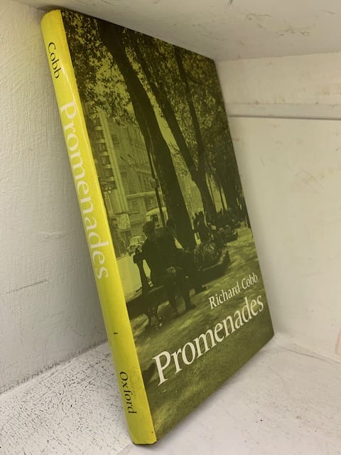 Promenades: a historian's appreciation of modern French literature ...